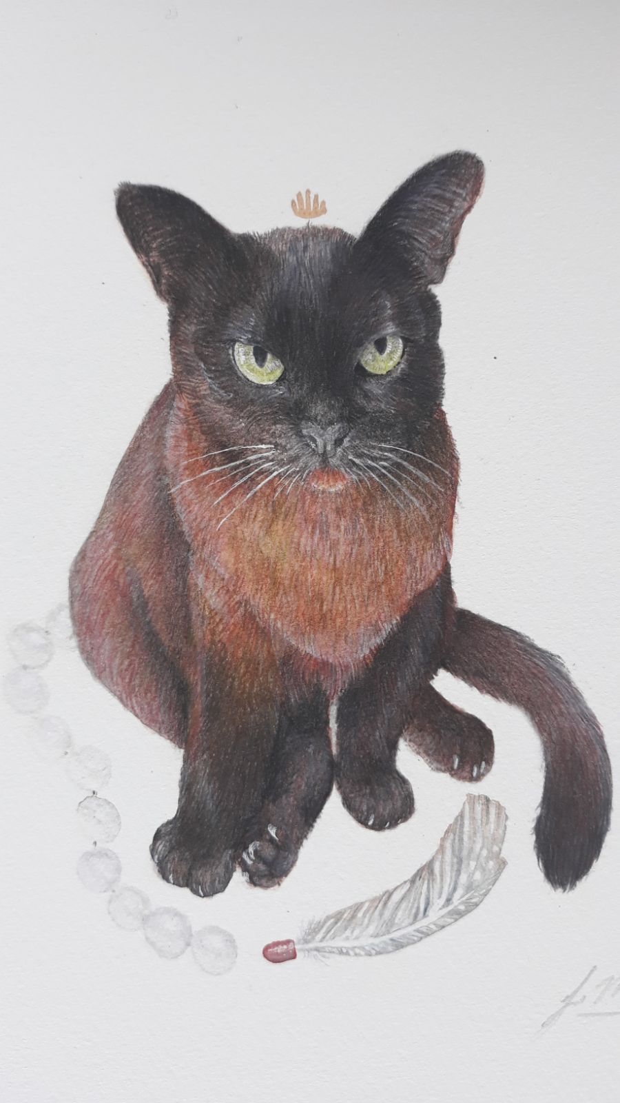 Featured Artist: Jen Muir’s Photorealistic Pet Portraits – Content Catnip
