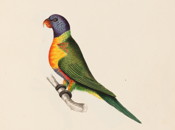 Unseen Art from Australia’s First Fleet http://wp.me/p41CQf-8h ...