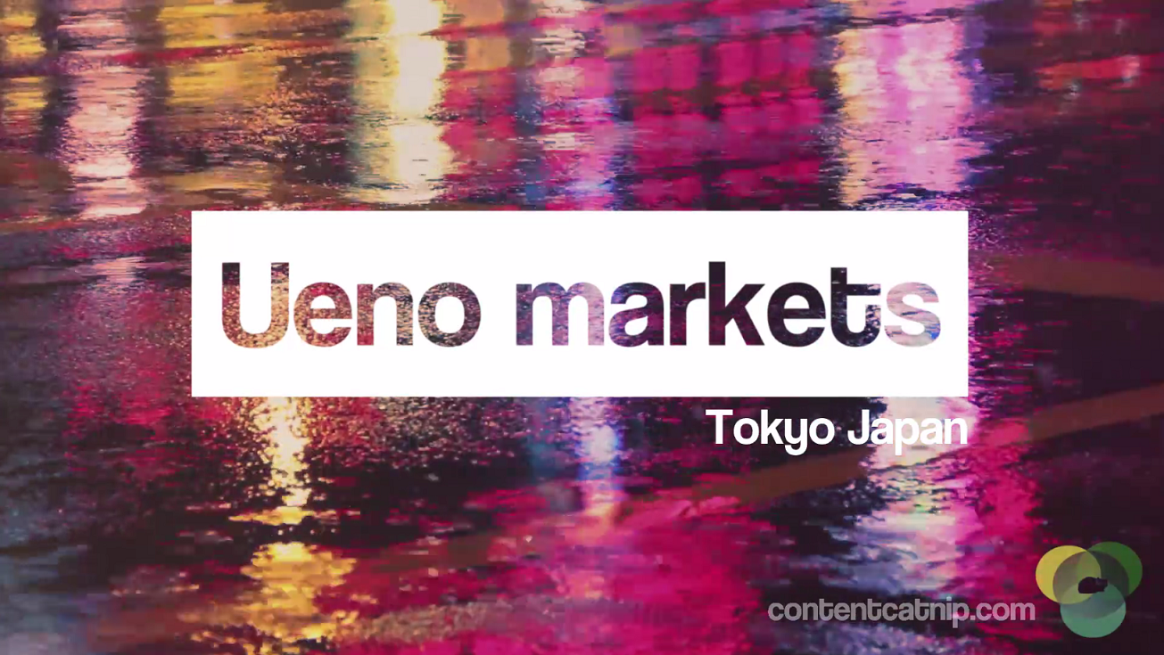 Travel: Bustling Ueno markets, Tokyo – Content Catnip