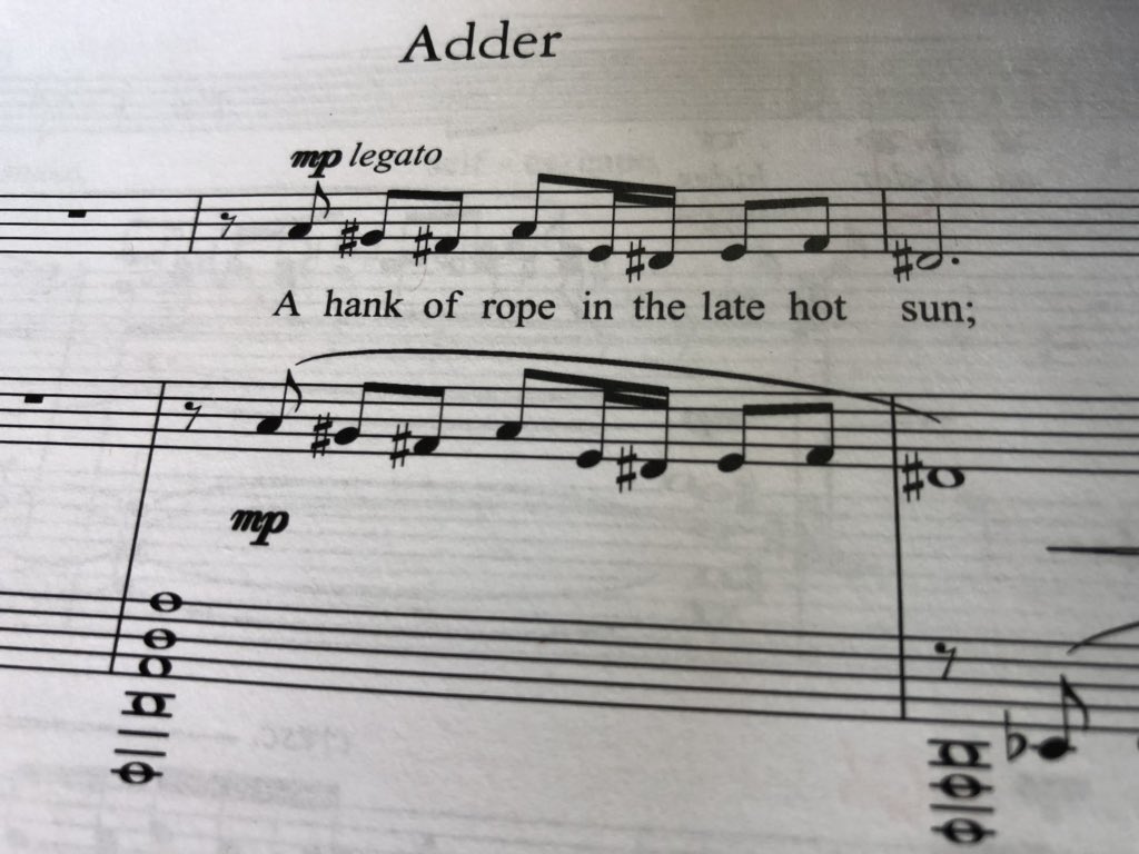 Ancient word of the day: Adder – Content Catnip