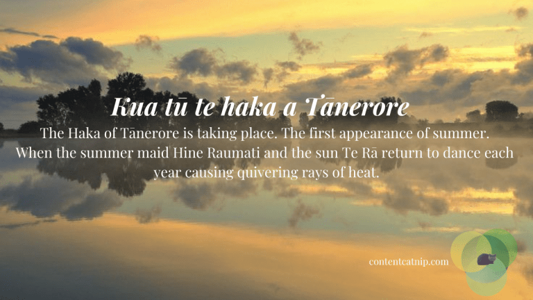 A Collection of Māori proverbs for you to keep and use – Content Catnip