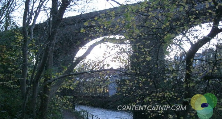 Ancient Word of the Day: Sussurate – Content Catnip