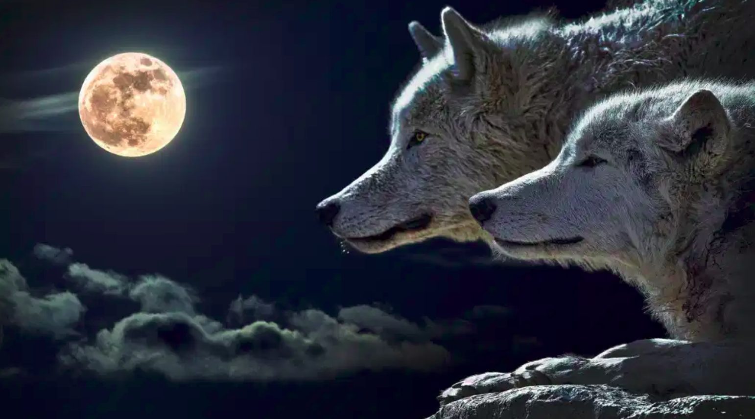 Ancient Word of the Day: Dam – Content Catnip