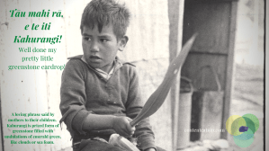 A Collection of Māori proverbs for you to keep and use – Content Catnip