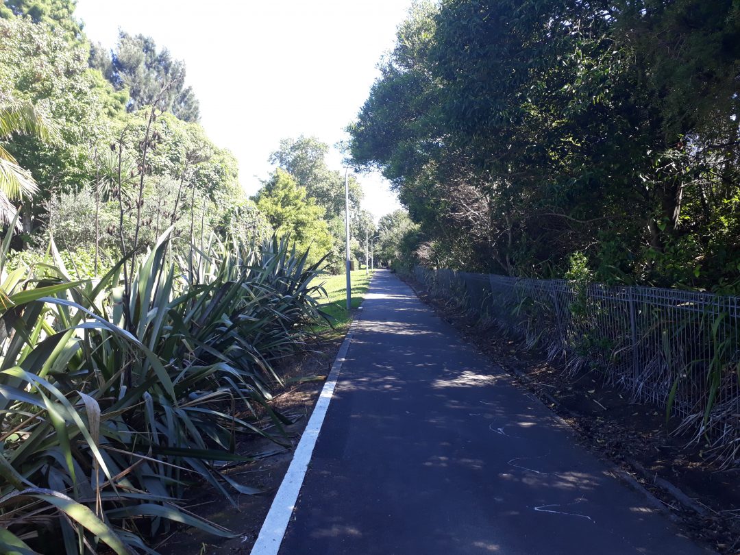 Great Cycle Routes of Auckland – Content Catnip