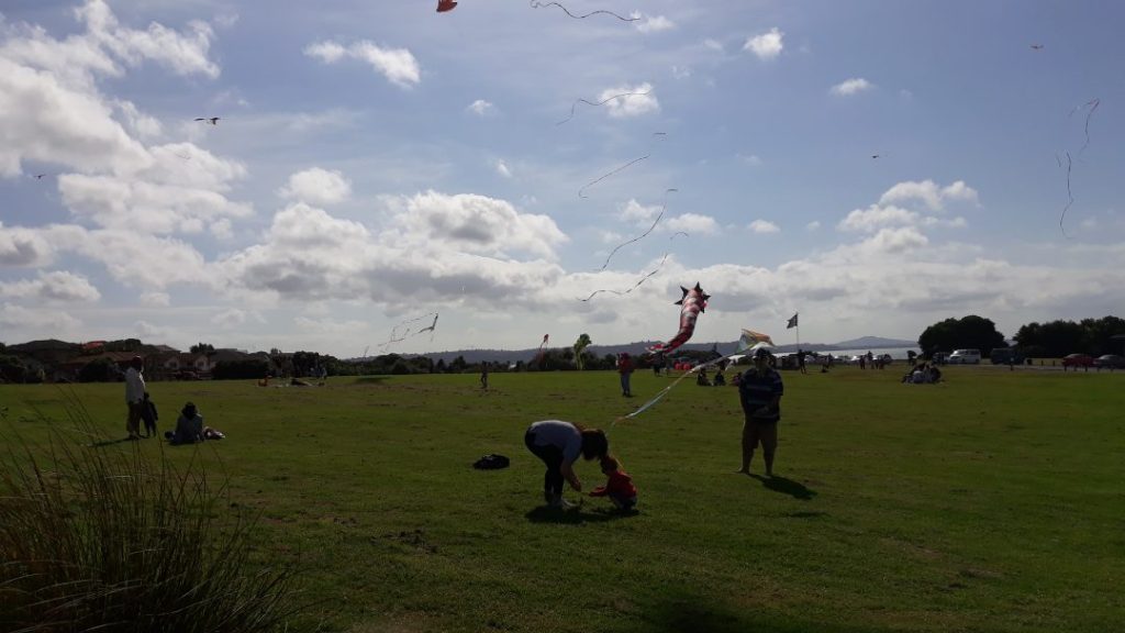 All About Māori Kite Making – Content Catnip