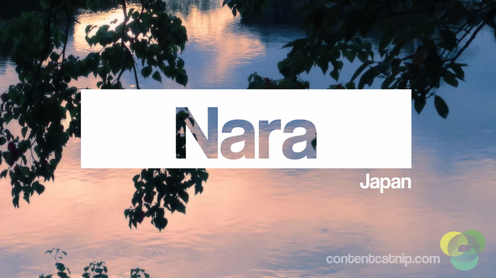 nara – Content Catnip