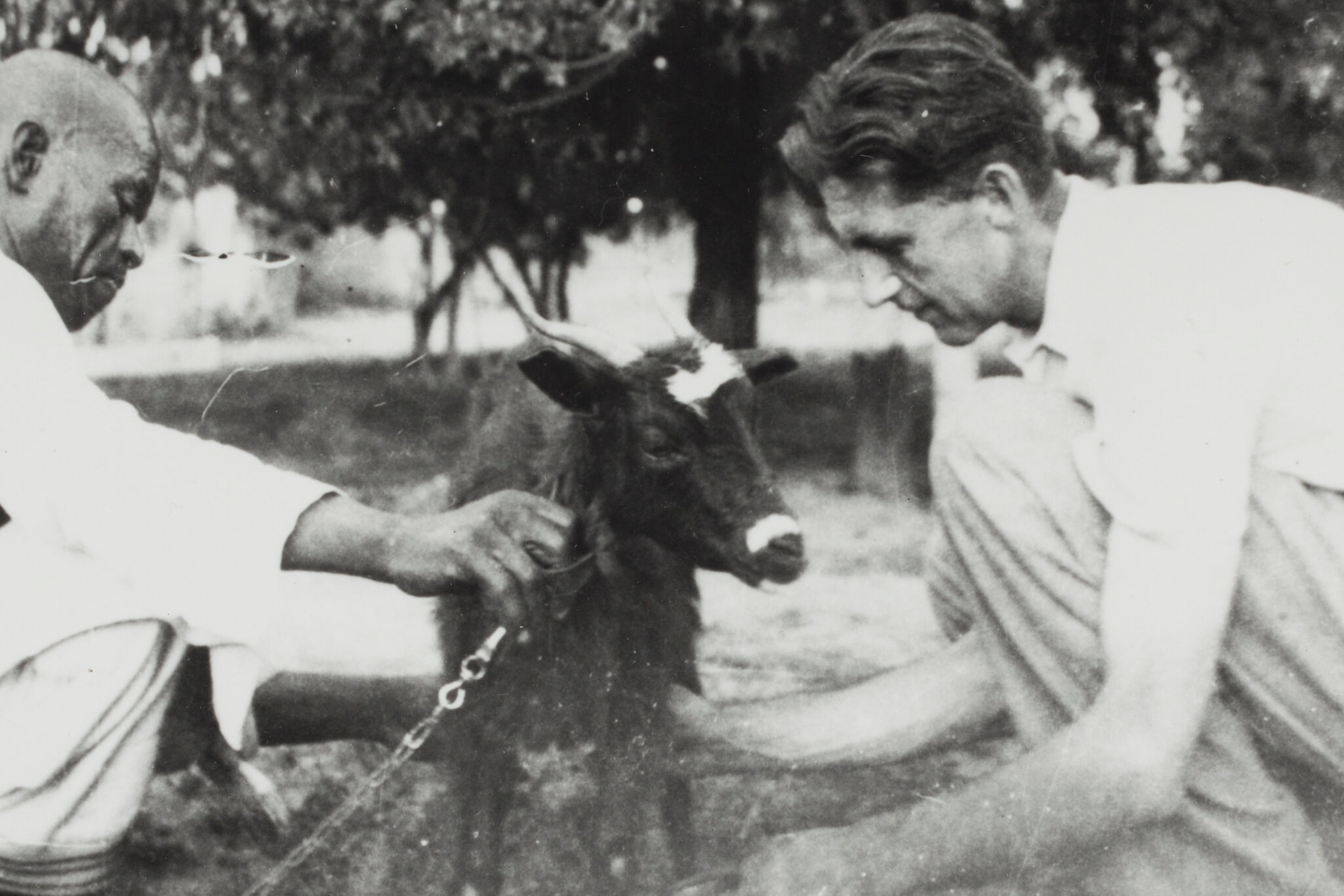 Book Review: Orwell’s Roses by Rebecca Solnit – Content Catnip