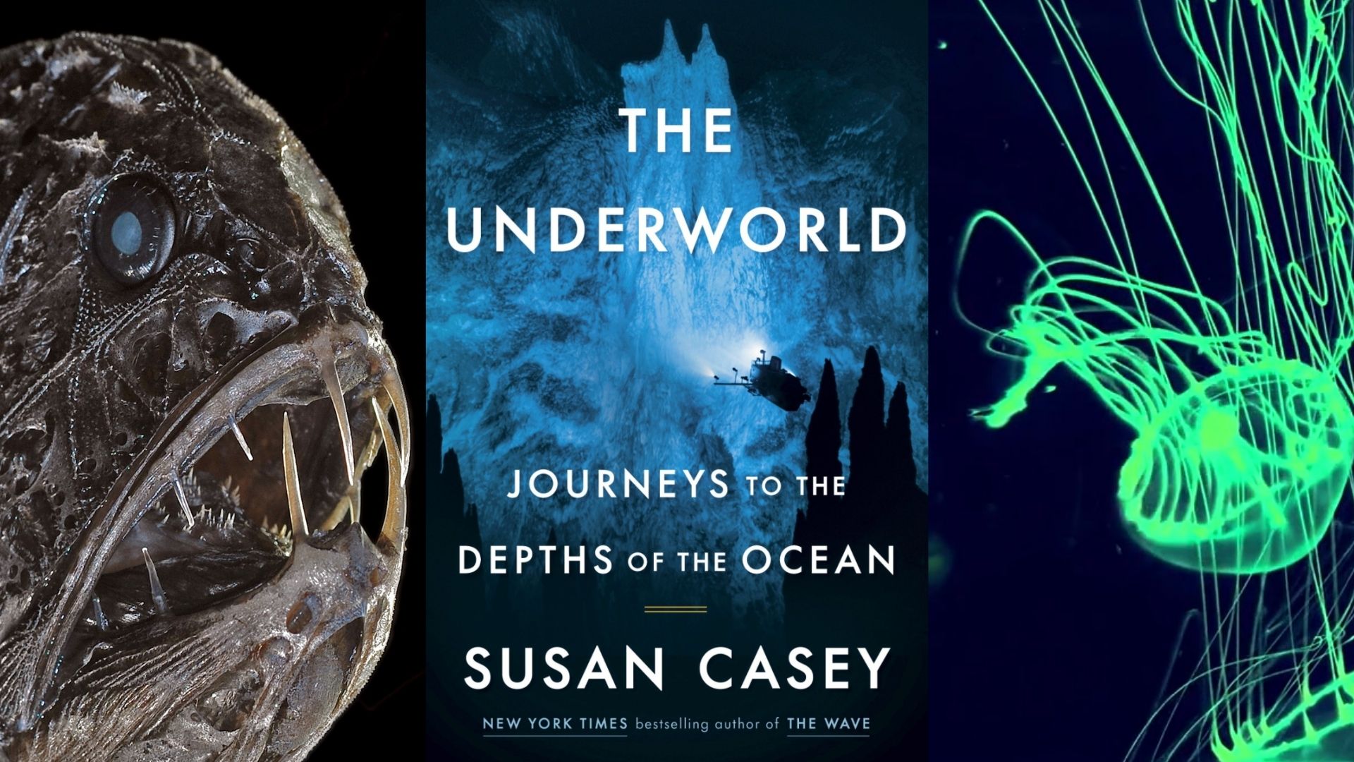 Book Review The Underworld: Journeys to the Depths of the Ocean by ...